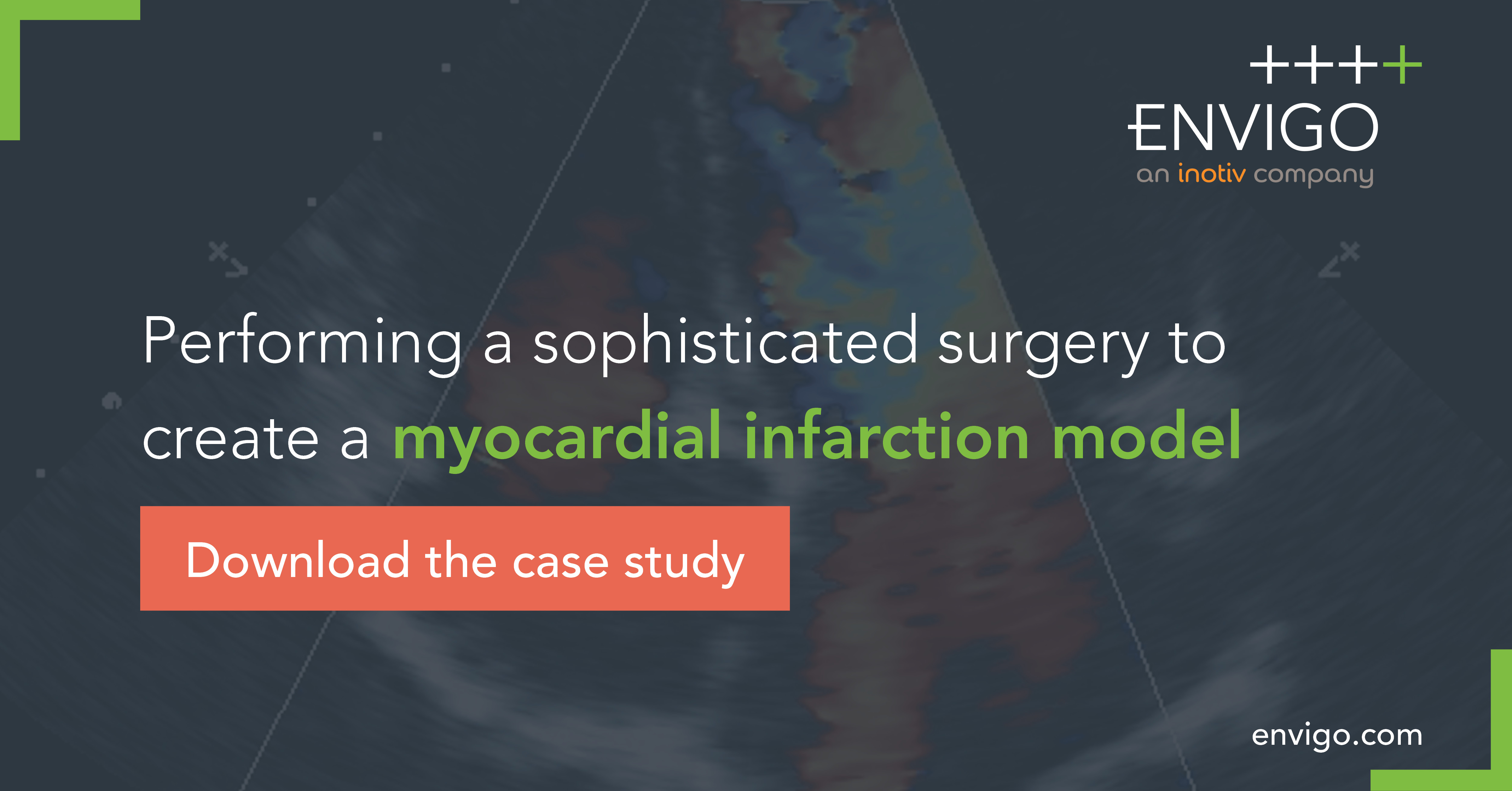 Performing a myocardial infarction surgery in rats